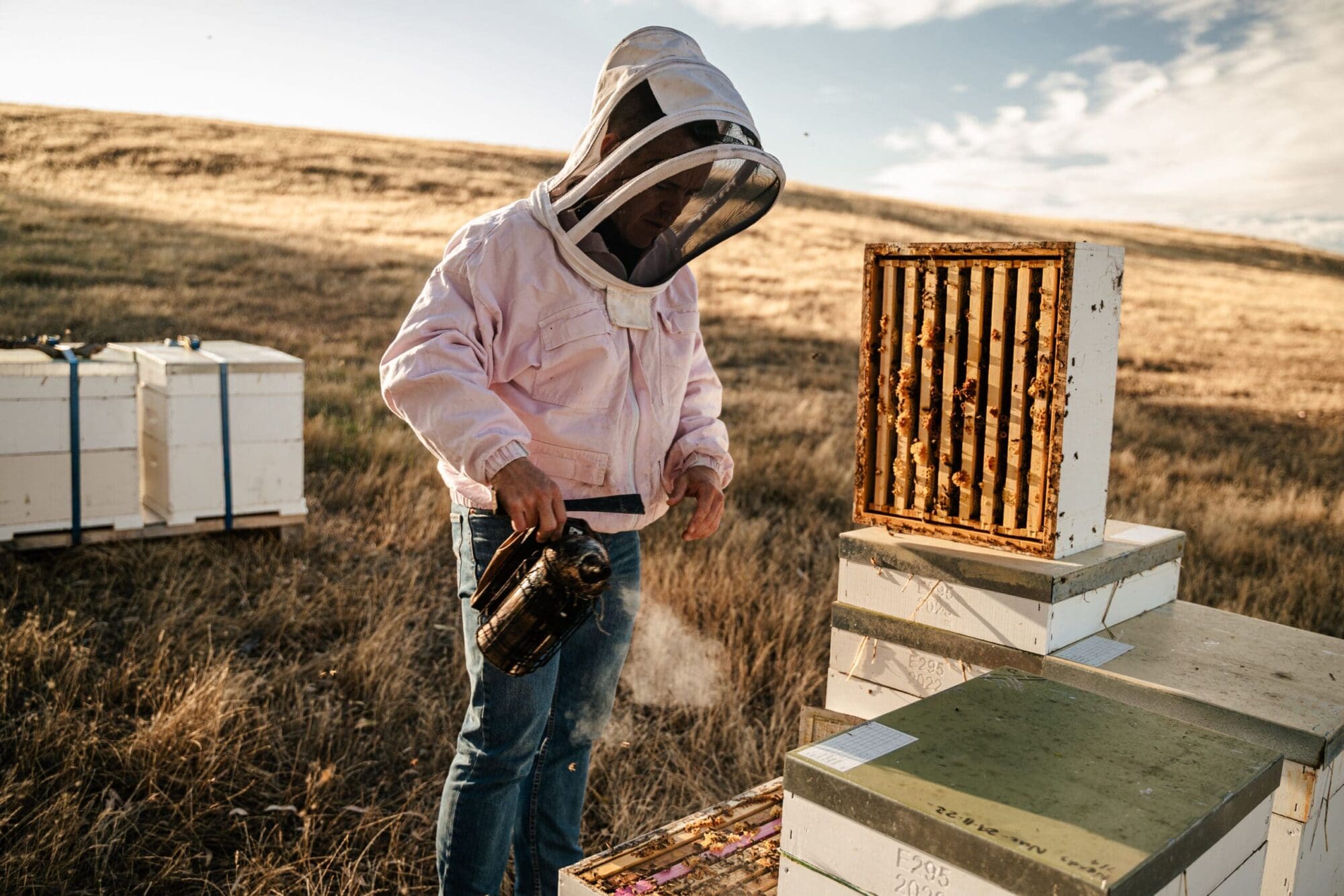 Fuzzy Bum Honey Website Design by Boylen | Pure Australian Honey